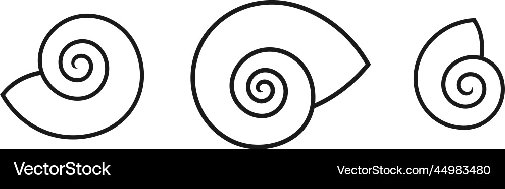 Snail shell Royalty Free Vector Image - VectorStock
