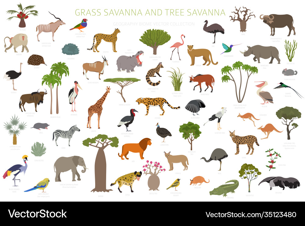 Tree savanna and grass biome natural Royalty Free Vector