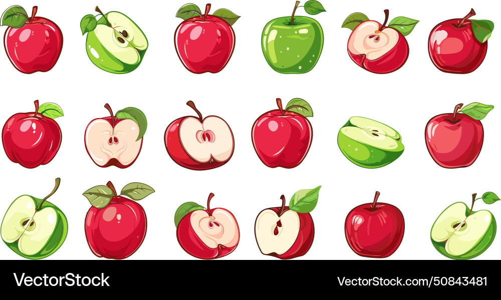 Cartoon green red apples fresh apple half Vector Image