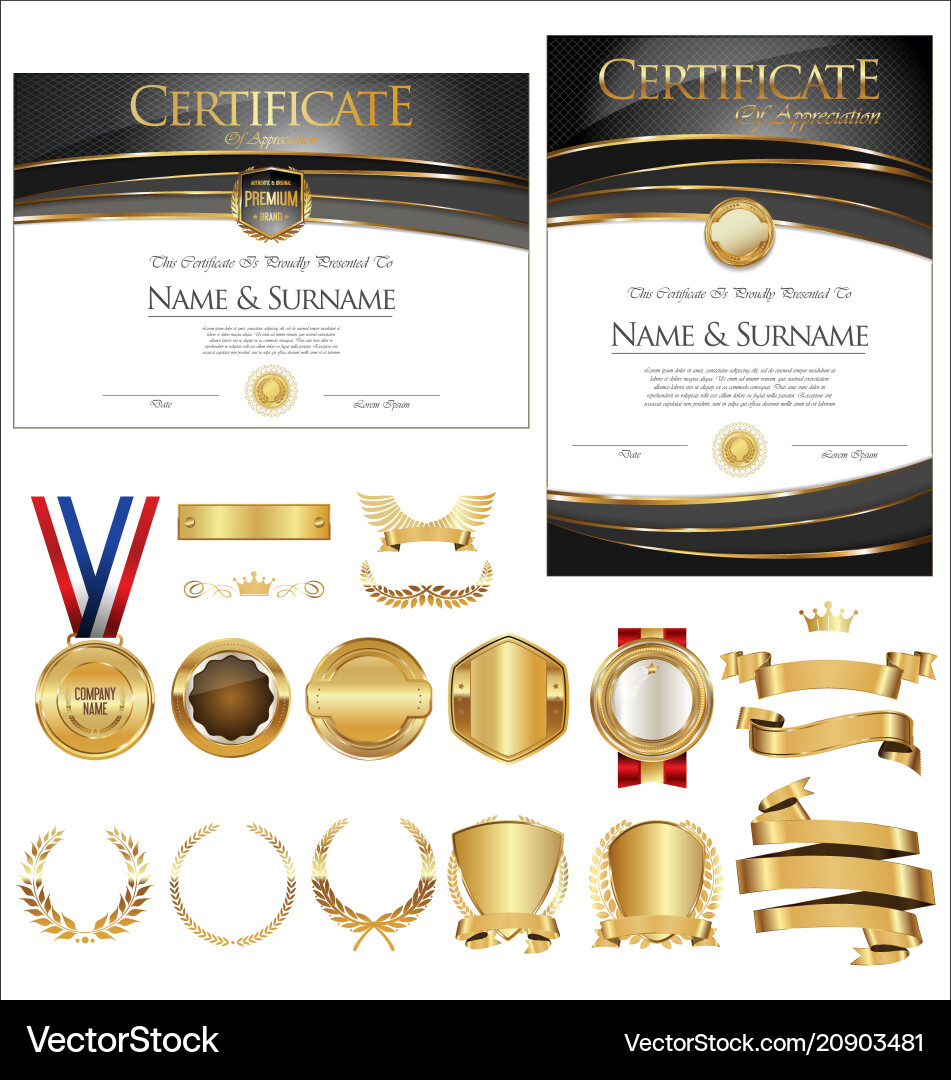 Collection of certificate badges labels shields Vector Image
