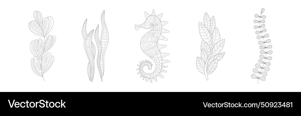 Underwater nature entangle coloring book object Vector Image