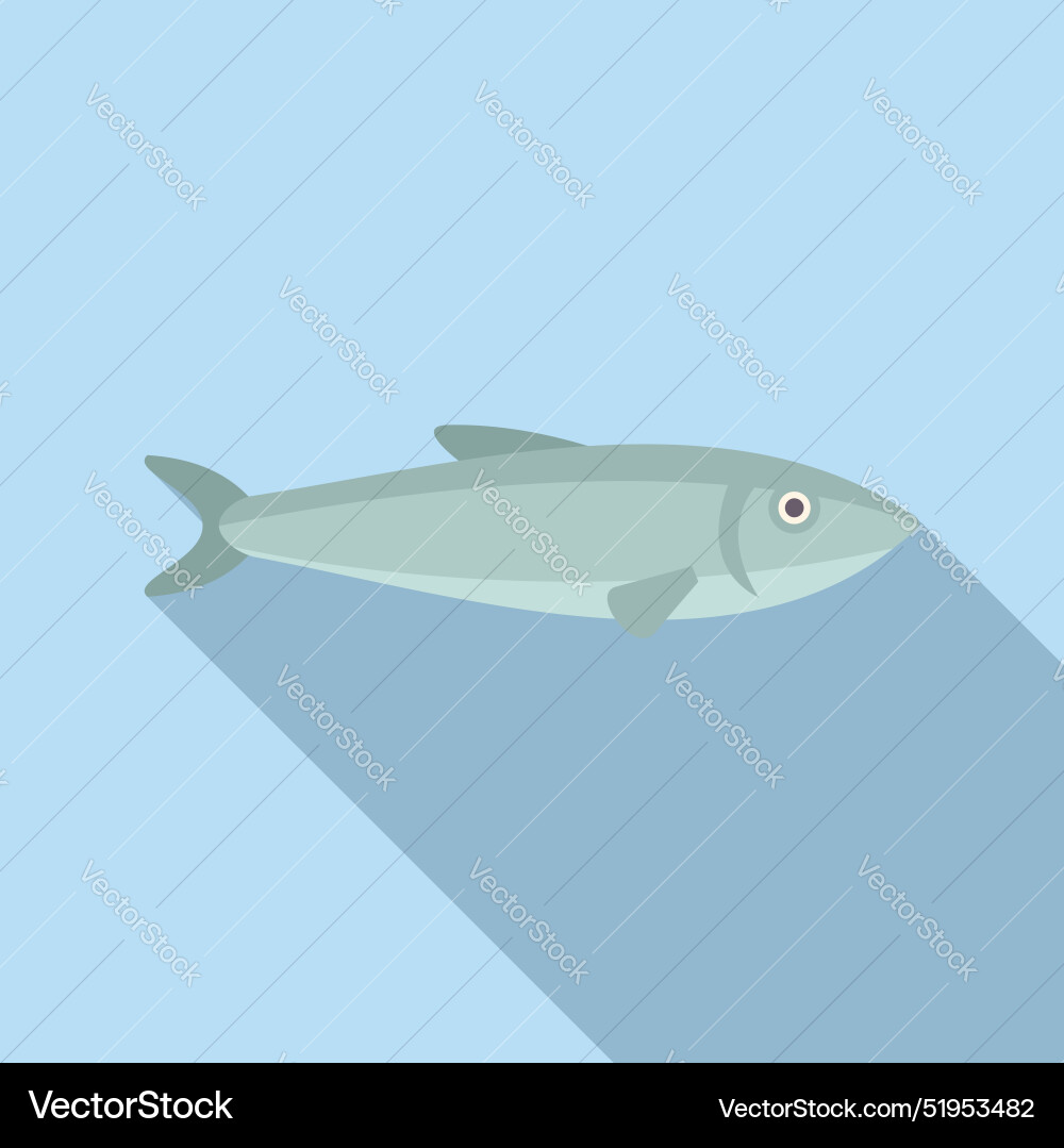 Atlantic herring fish swimming underwater side Vector Image