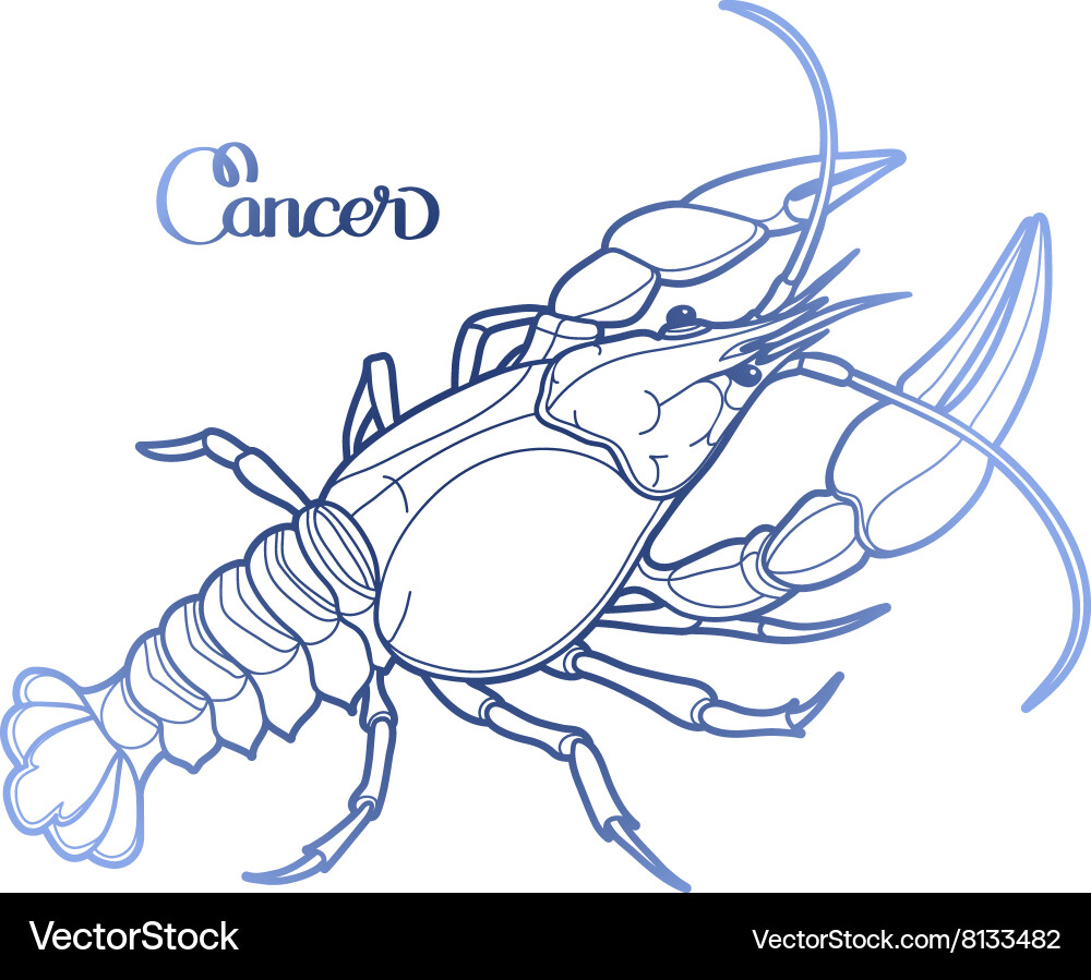 Graphic cancer Royalty Free Vector Image - VectorStock