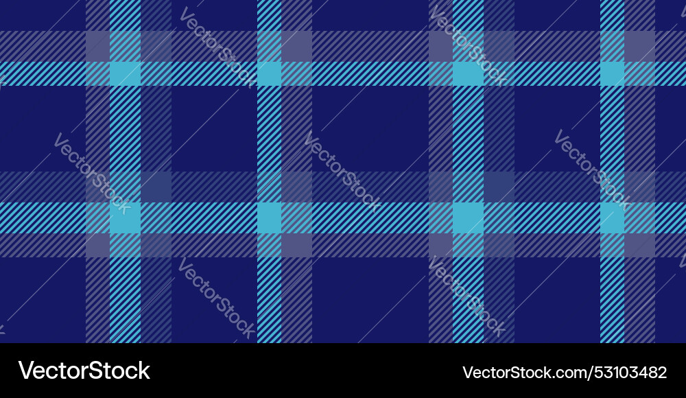 Quality check pattern textile irish texture Vector Image
