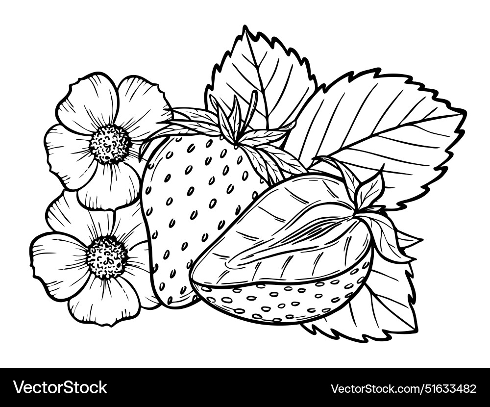 Strawberry line art composition Royalty Free Vector Image