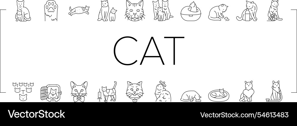 Cat breeding genetics cattery icons set Royalty Free Vector