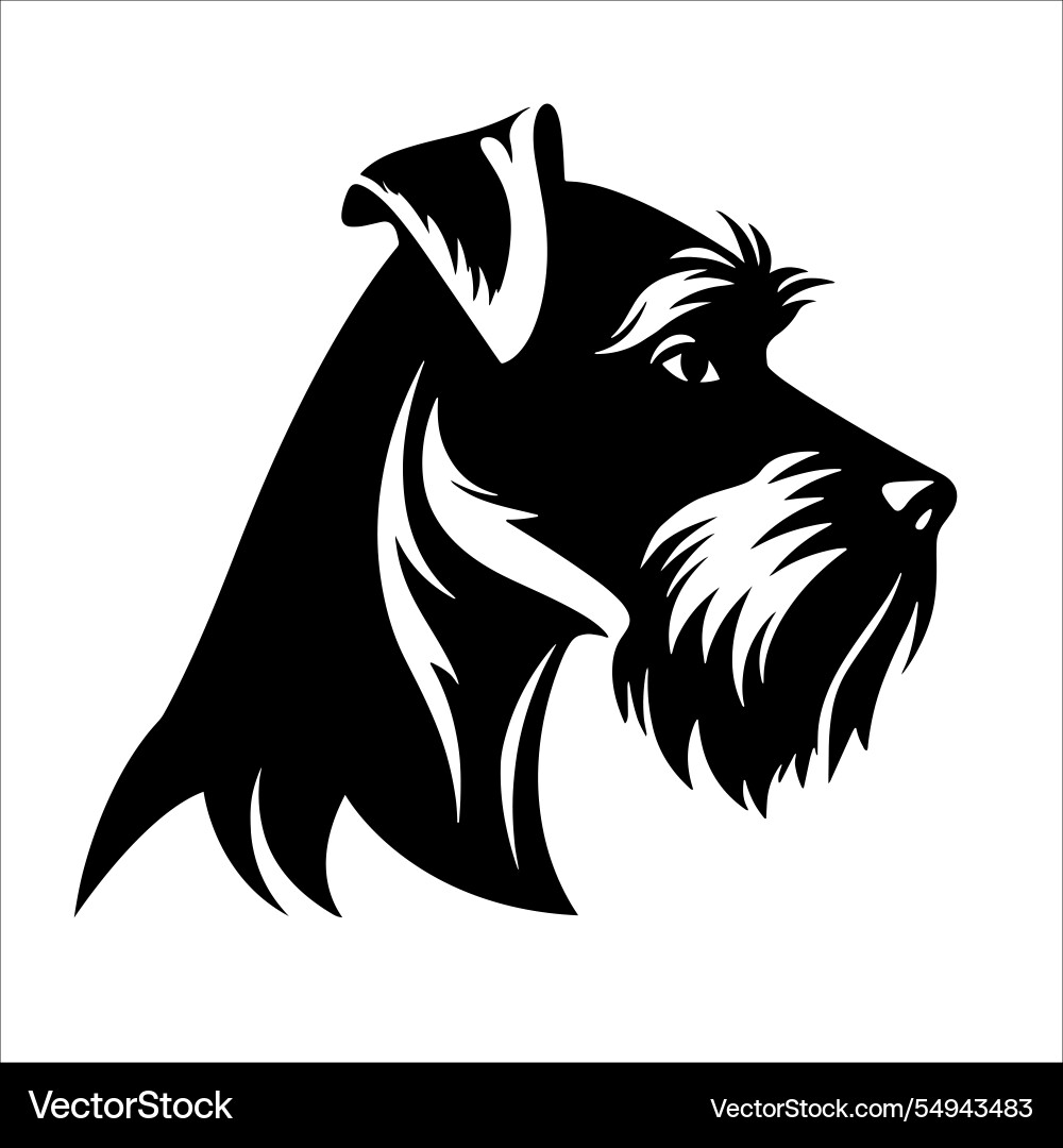 Schnauzer dog breed pet Royalty Free Vector Image