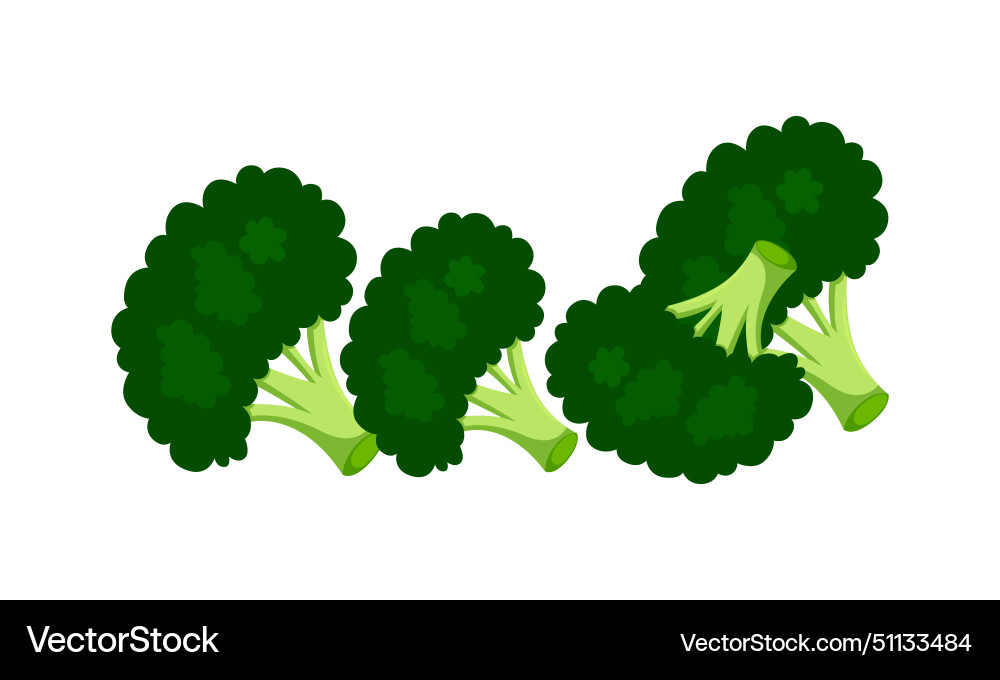 Broccoli design Royalty Free Vector Image - VectorStock