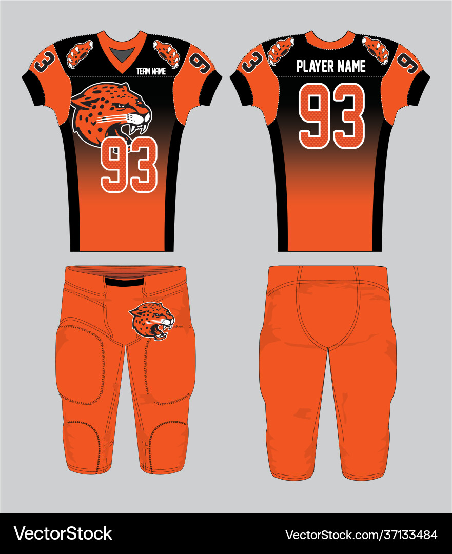 Pattern-filled black and orange american football Vector Image