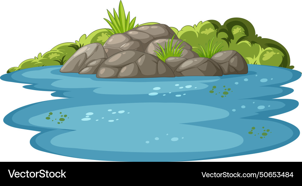 Serene water scene with rocks and plants Vector Image