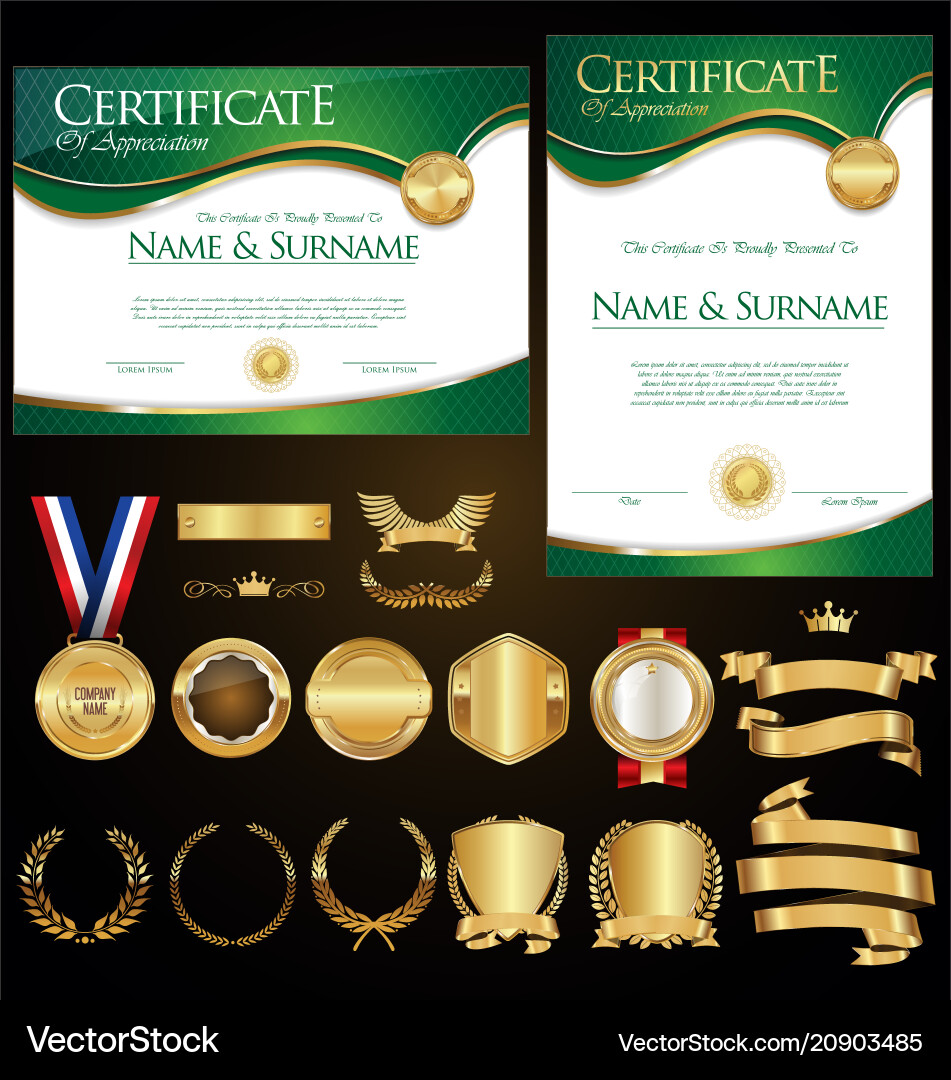 Collection of certificate badges labels shields Vector Image