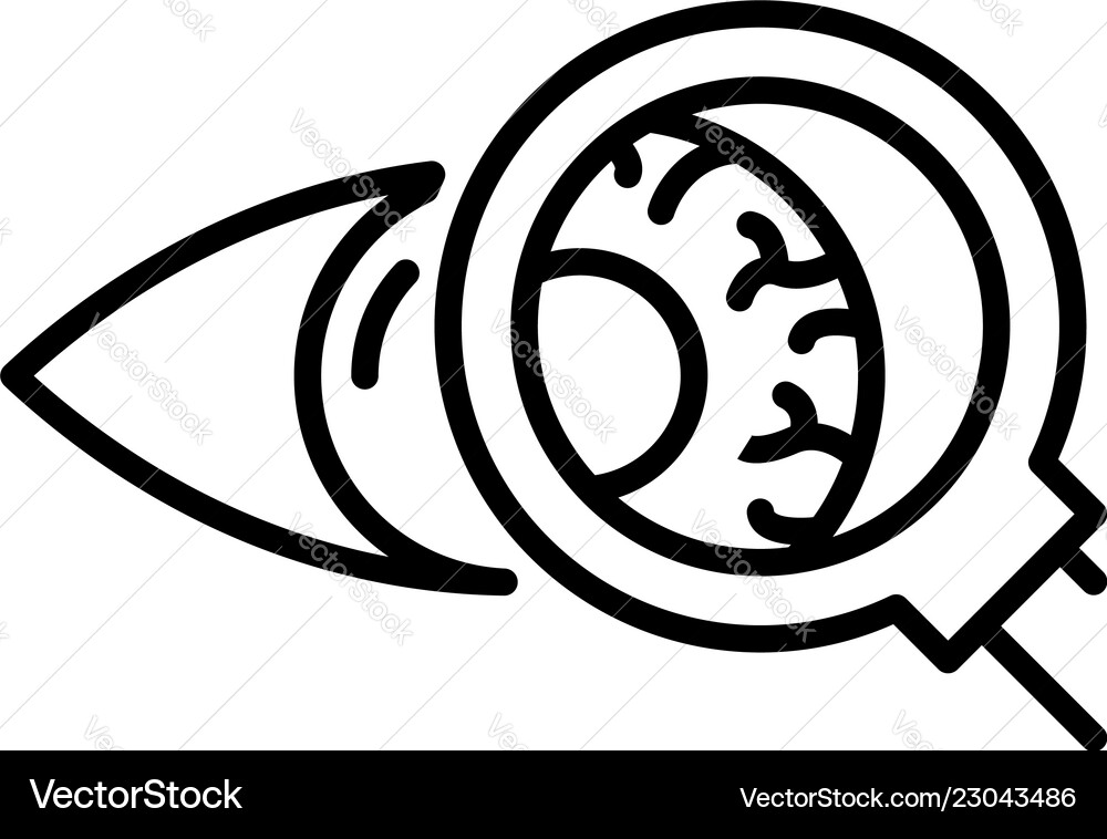 Eyeball inspection icon outline style Royalty Free Vector
