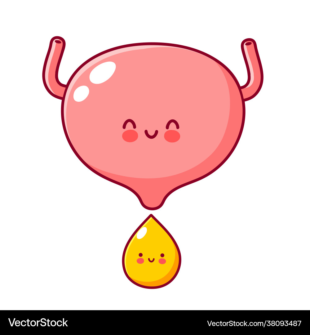 Cute happy funny human bladder organ character Vector Image