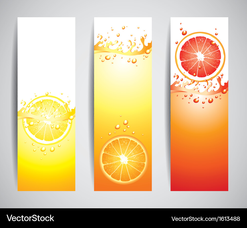 Citrus banners Royalty Free Vector Image - VectorStock