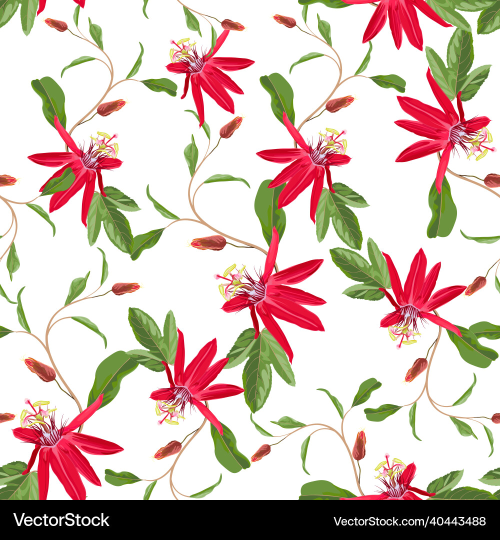 Red passion flower seamless pattern Royalty Free Vector