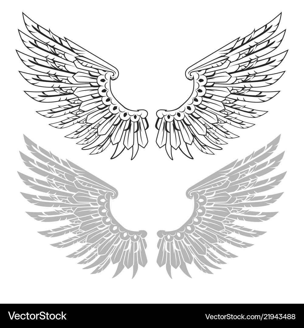 Straightened wings in linear and stamp versions Vector Image