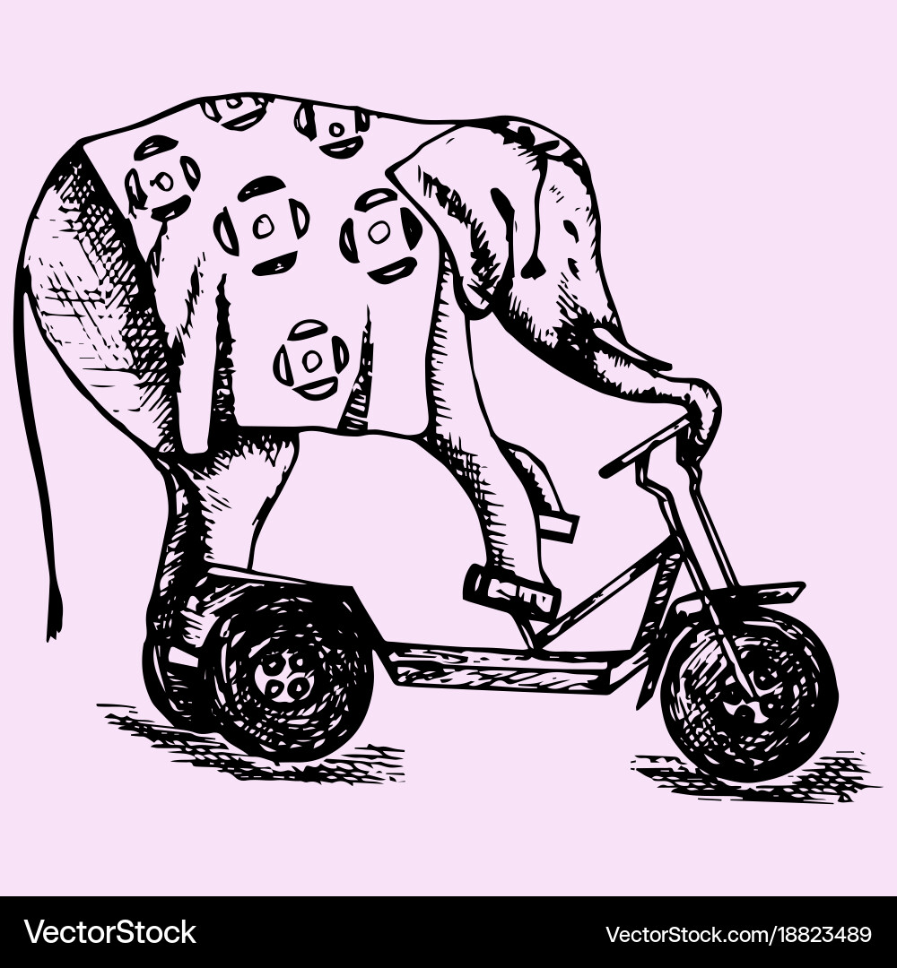 Elephant riding a bike Royalty Free Vector Image