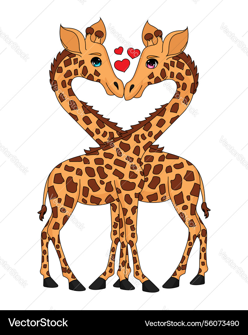 Couple giraffe love heart shaped Royalty Free Vector Image