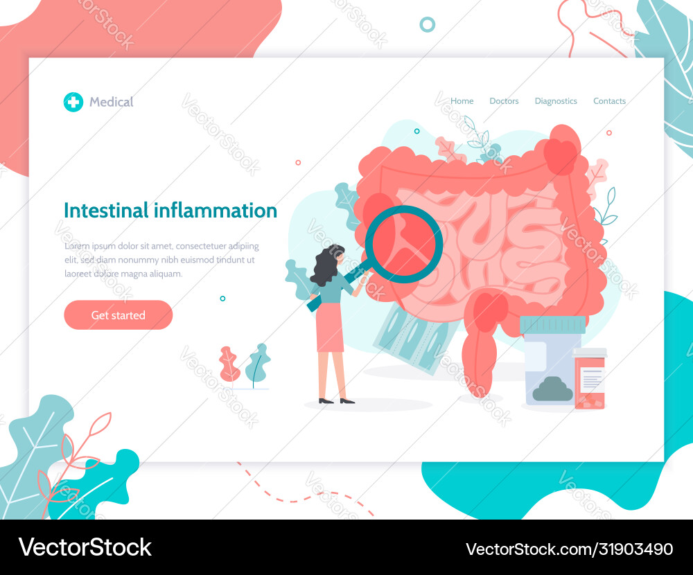 Intestinal inflammation medical web page Vector Image