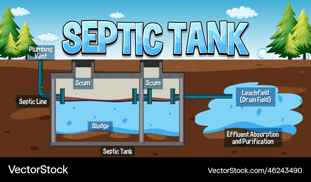 Septic tank system diagram Royalty Free Vector Image