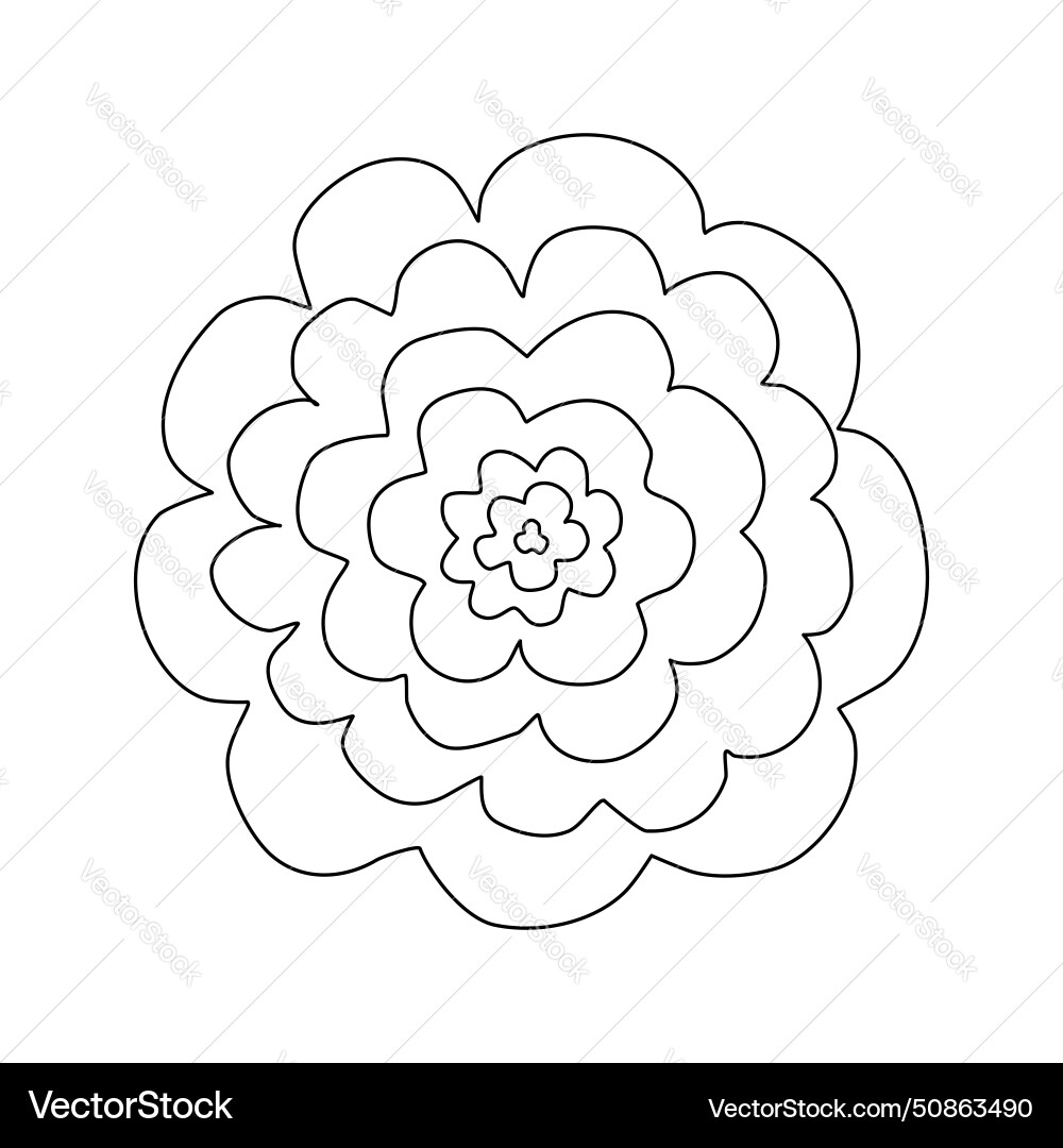 Simple rose flower head top view doodle style Vector Image