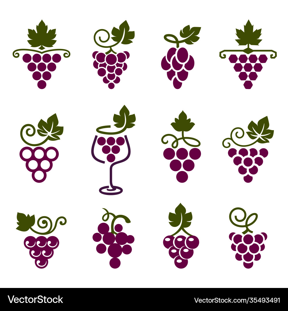 Grapes icons set color Royalty Free Vector Image