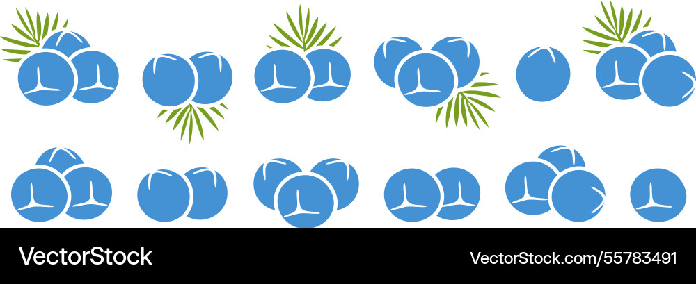 Juniper Royalty Free Vector Image - VectorStock