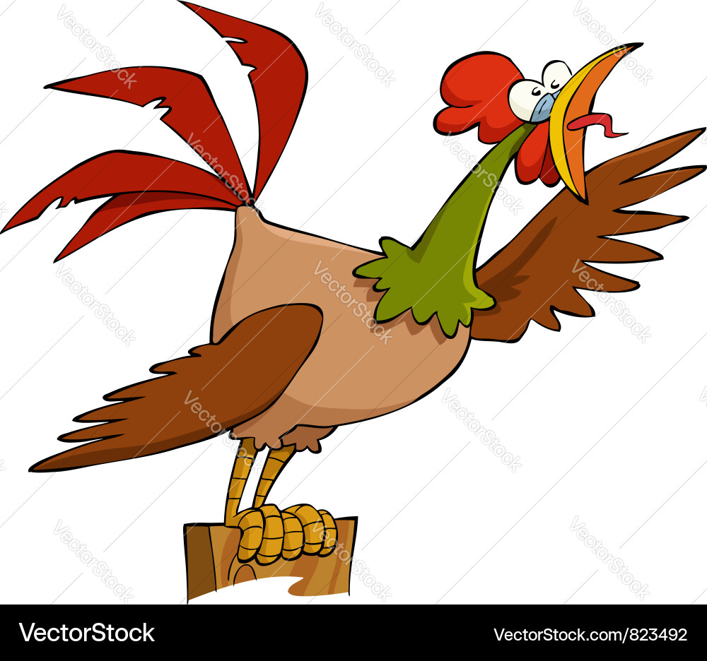Rooster Shouting Vector Images (43)