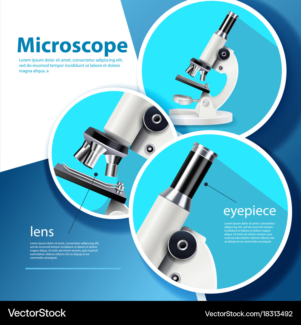 Infographic colored microscope Royalty Free Vector Image