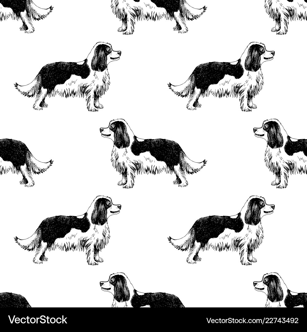 Seamless pattern with hand drawn king charles Vector Image