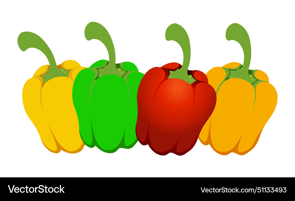 Capsicum design Royalty Free Vector Image - VectorStock