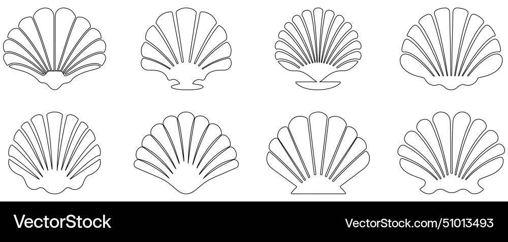 Set of seashell line icons Royalty Free Vector Image