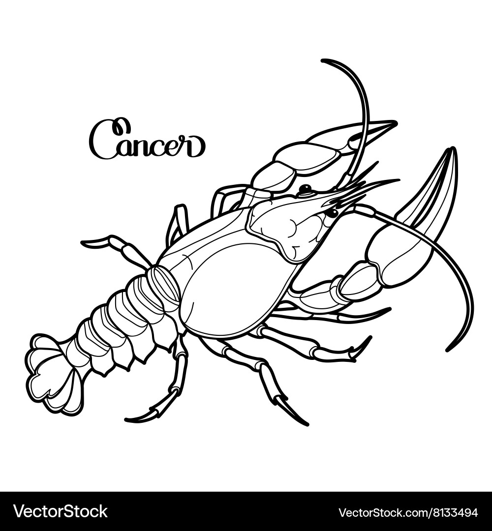 Graphic cancer Royalty Free Vector Image - VectorStock