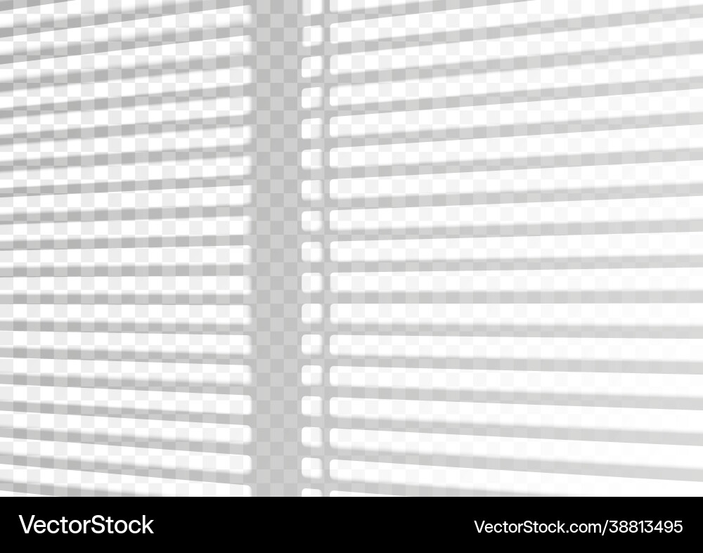 Transparent overlay window and blinds shadow Vector Image