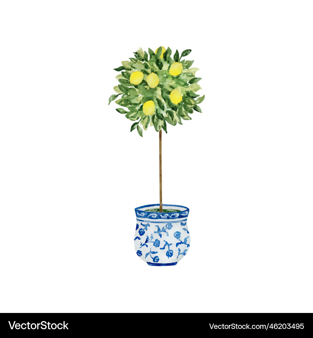Watercolor Lemon Tree in Blue Vase Royalty Free Vector Image