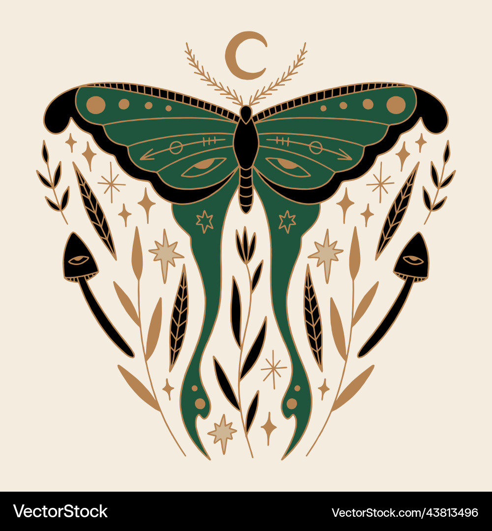 Folk Art Moths Vector Images (over 200)