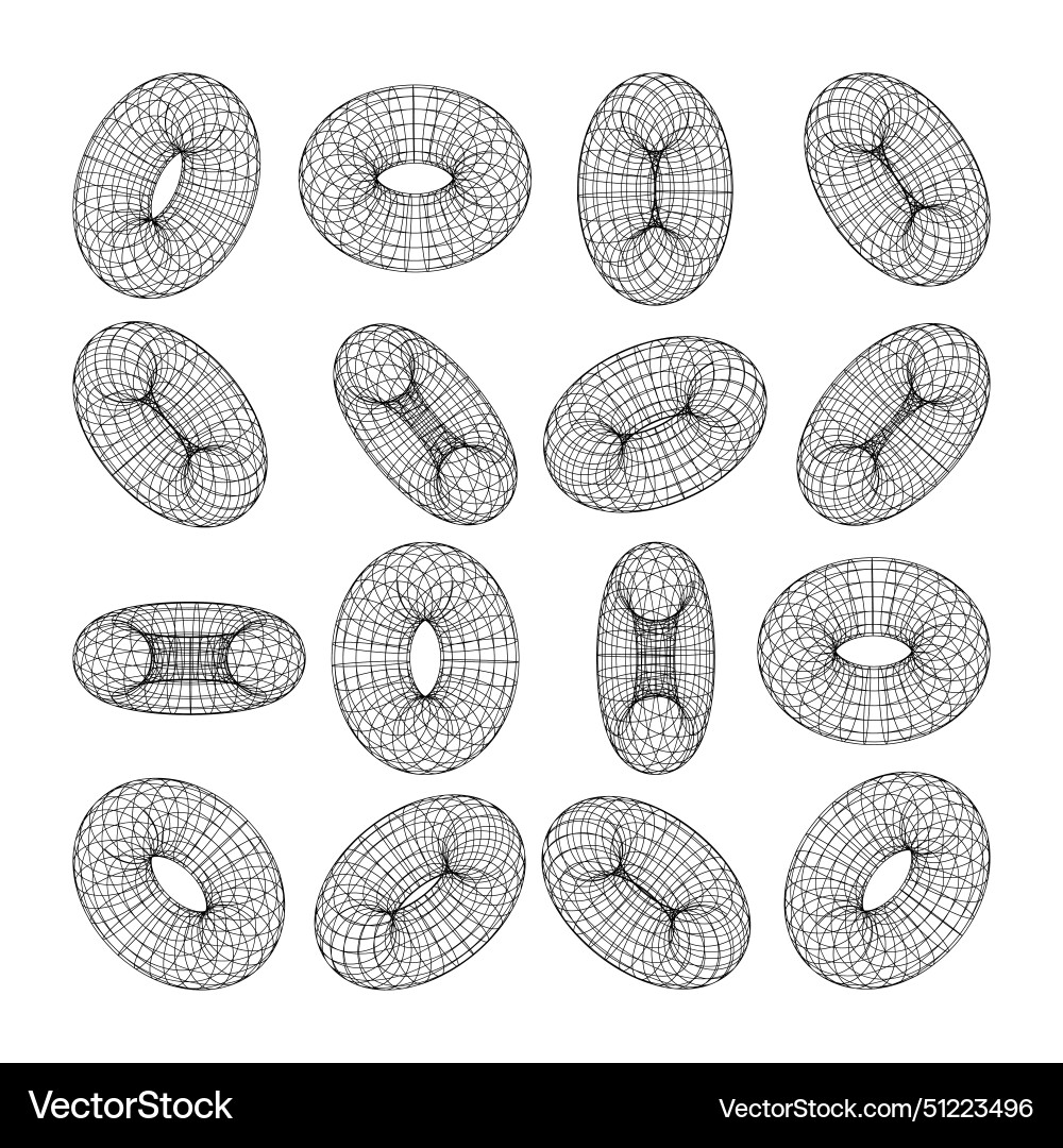 Wireframe shapes lined torus perspective mesh Vector Image