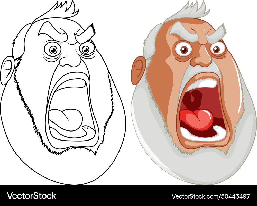 Black and white colored angry faces side Vector Image