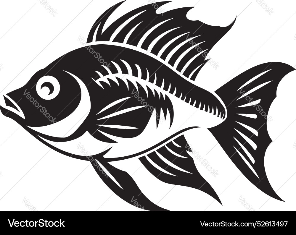 Reef reflections black fish designs depicting Vector Image