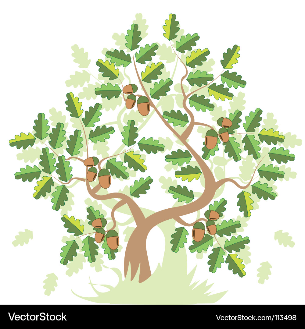 Cartoon Oak Tree with Acorn Royalty Free Vector Image