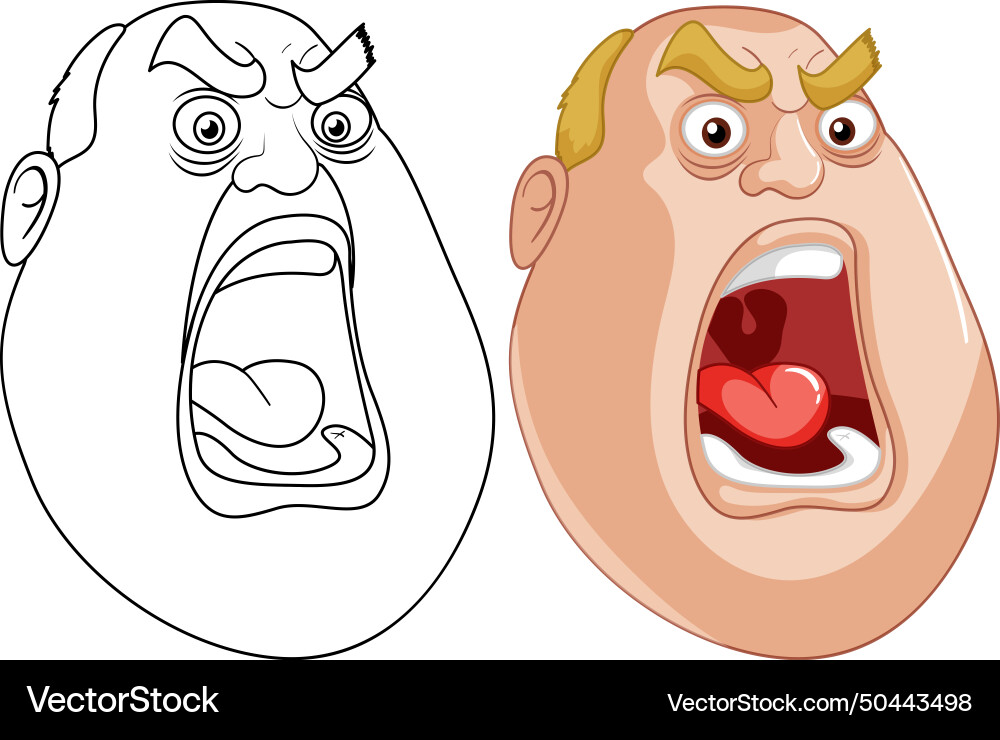 Two cartoon faces showing extreme expressions Vector Image