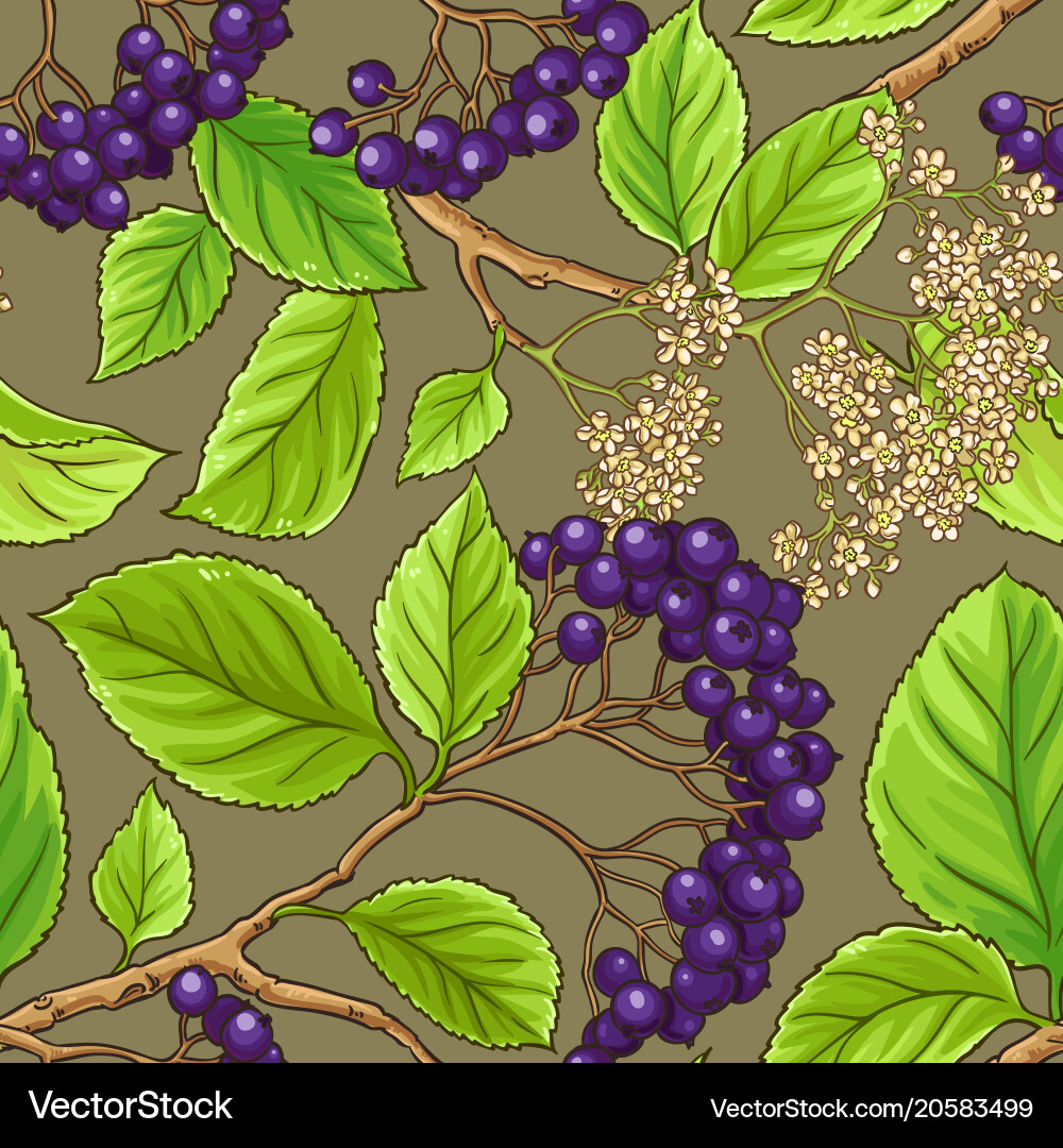 Black rowan pattern Royalty Free Vector Image - VectorStock