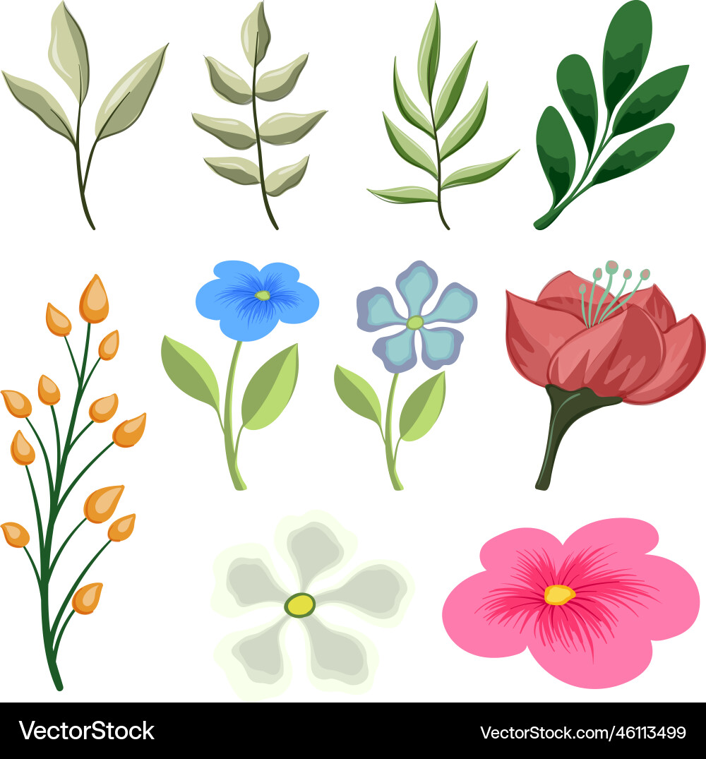Flower and leaf collection Royalty Free Vector Image