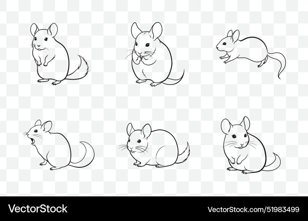 Print chinchillas line art set Royalty Free Vector Image