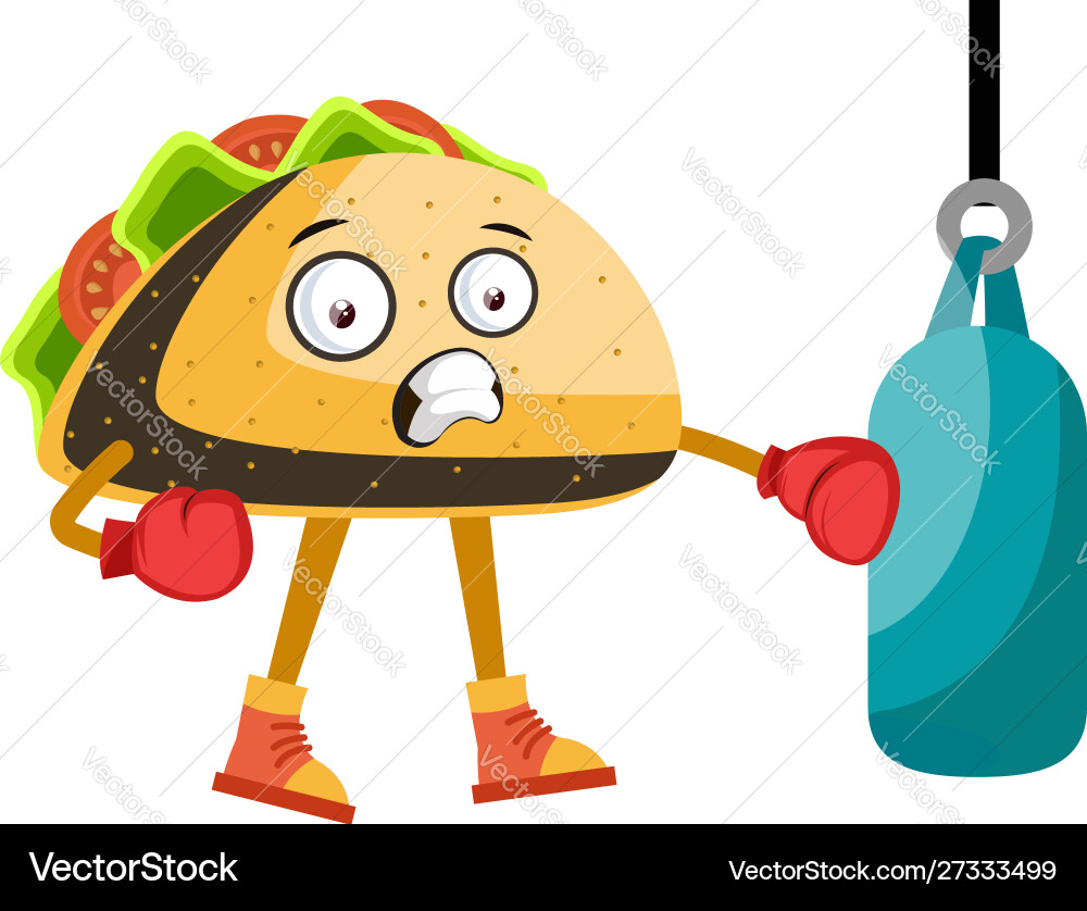 Taco boxing on white background Royalty Free Vector Image