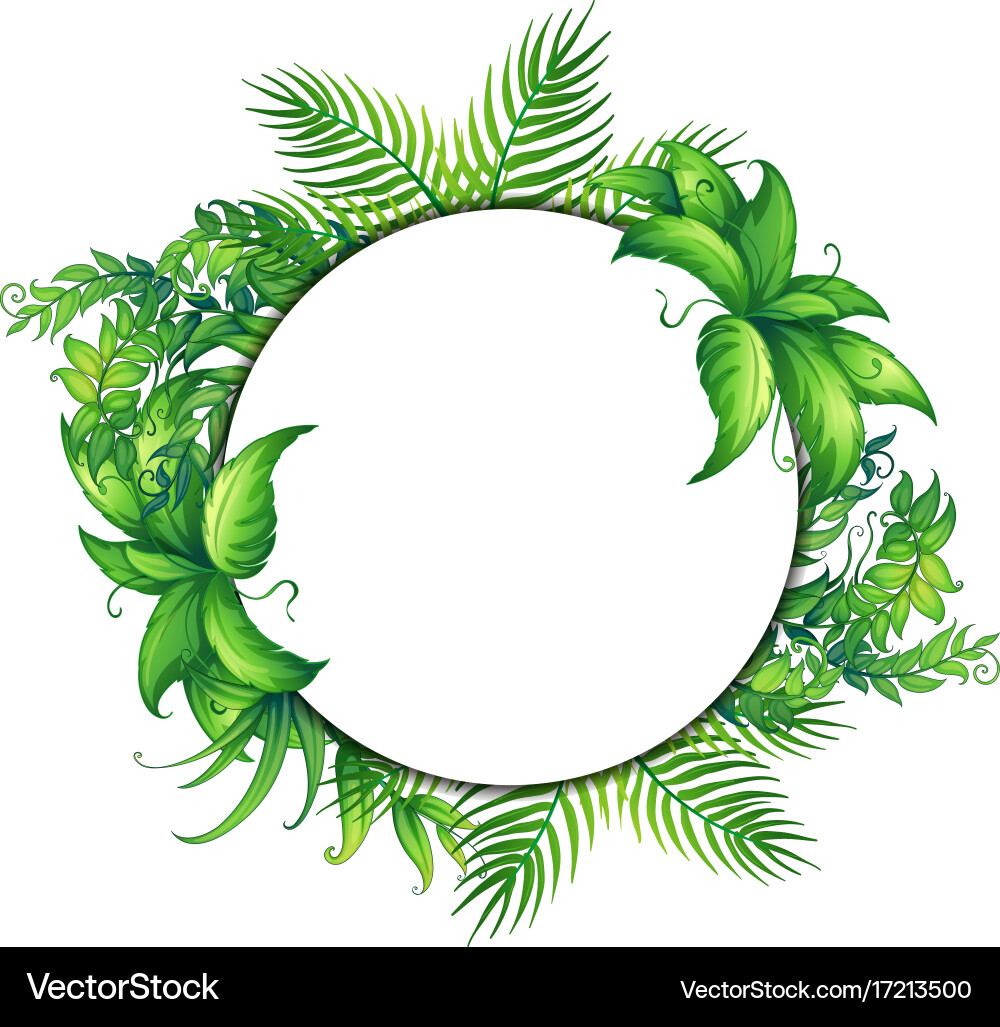 Border template with green leaves Royalty Free Vector Image