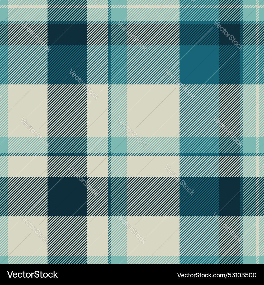 Fancy textile pattern repetition check fabric Vector Image