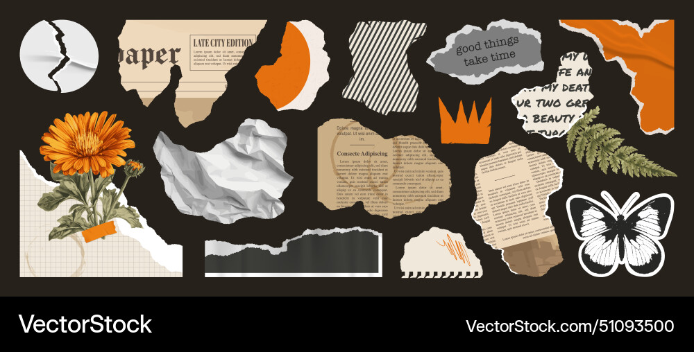 Set of paper cut elements torn newspaper collage Vector Image