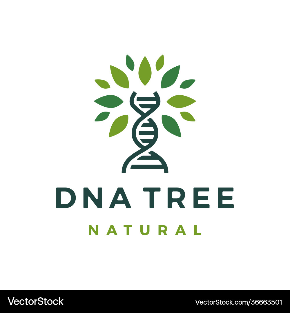 DNA Tree Logo - Genetics Icon Royalty Free Vector Image