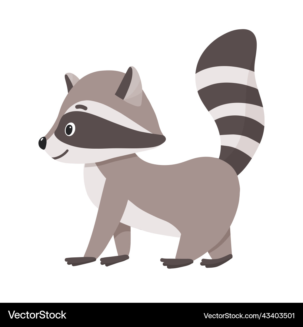 Funny cute cartoon raccoon Royalty Free Vector Image